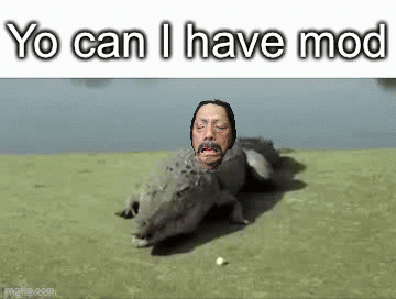 Yo can I have mod - Imgflip