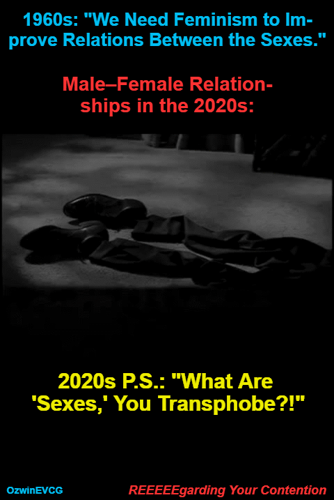 REEEEEgarding Your Contention - Imgflip