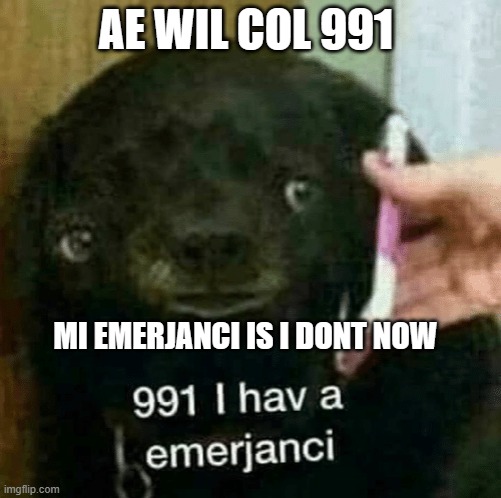 991 I hav a emerjanci - Imgflip