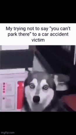 Dog resisting the urge - Imgflip
