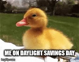 Daylight savings - Imgflip