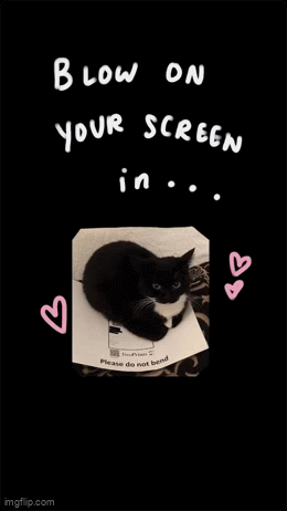 Animated GIF - Imgflip