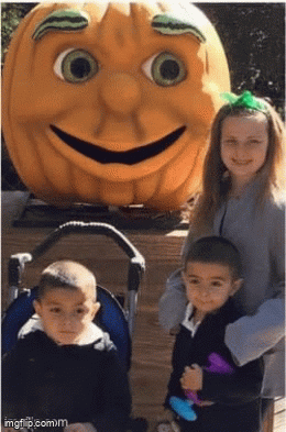 Ian Julian Heidi Little Pumpkin - Imgflip