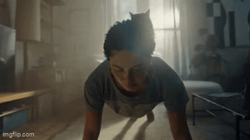 Push ups featuring the cat - Imgflip