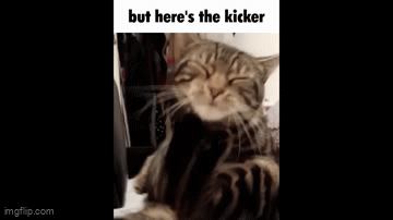 But here’s the kicker - Imgflip