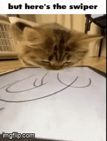 But here’s the swiper - Imgflip