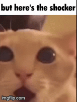 But here’s the shocker - Imgflip