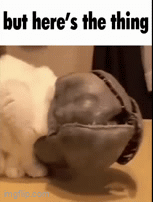 But here’s the thing - Imgflip