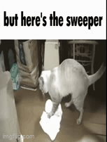 But here’s the sweeper - Imgflip