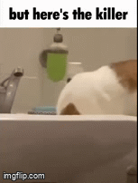 But here’s the killer - Imgflip
