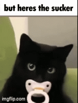 But here’s the sucker (that sucks my bal-) - Imgflip