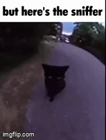 But here’s the sniffer - Imgflip
