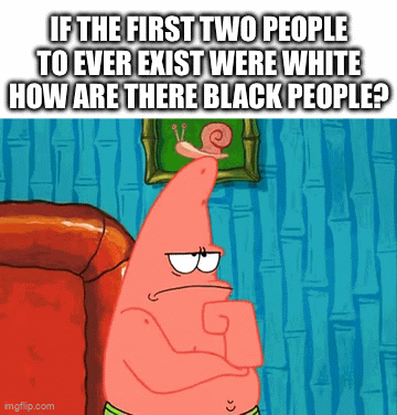 Like how though I think my best bet is evolution - Imgflip