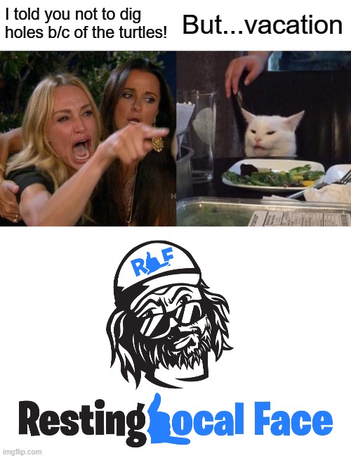 Image tagged in memes,woman yelling at cat - Imgflip