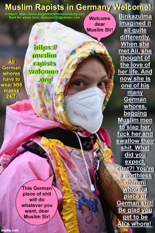 Image tagged in pimp alis fat german cunt binkazulma - Imgflip