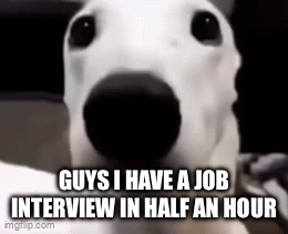 Shivering Dog - Imgflip