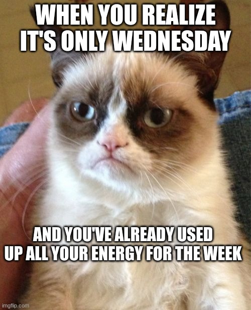 Grumpy Cat Meme - Imgflip