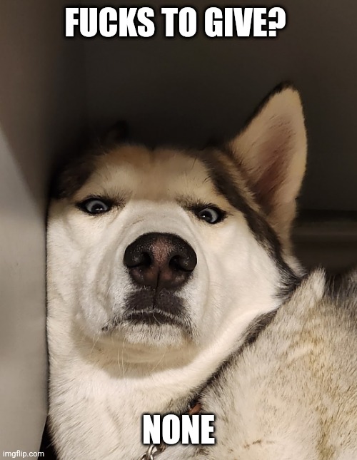 None given - Imgflip
