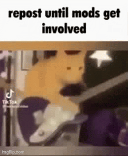 Animated GIF - Imgflip