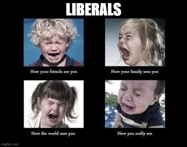 Liberals - Imgflip