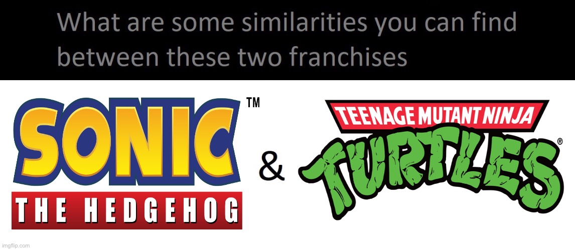 Similarities between sonic and ninja turtles - Imgflip