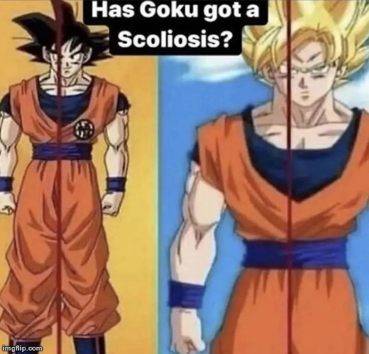 The cartel will be devastated - Imgflip