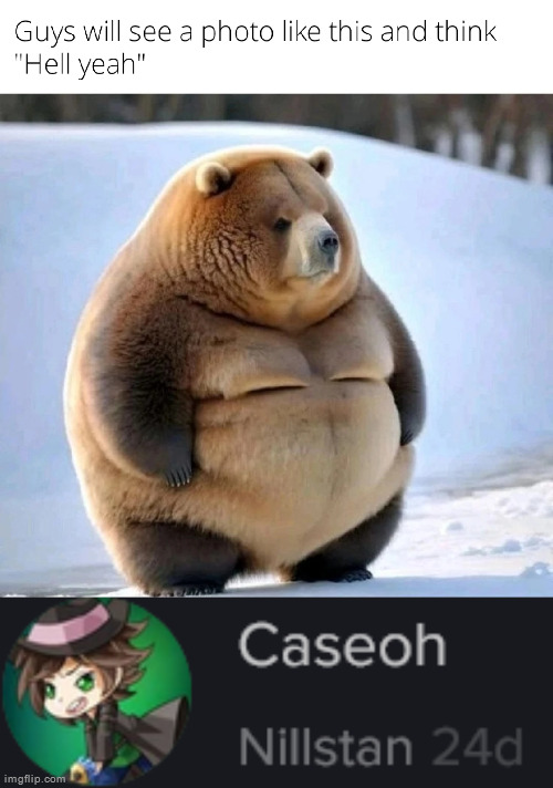 bear caseoh real - Imgflip