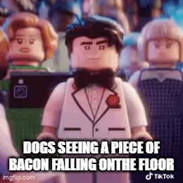 dogs & bacon - Imgflip