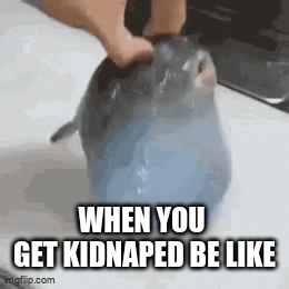 funny fish - Imgflip