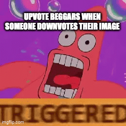 triggered beggar - Imgflip