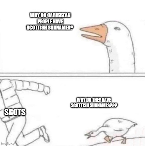 Goose Chase - Imgflip