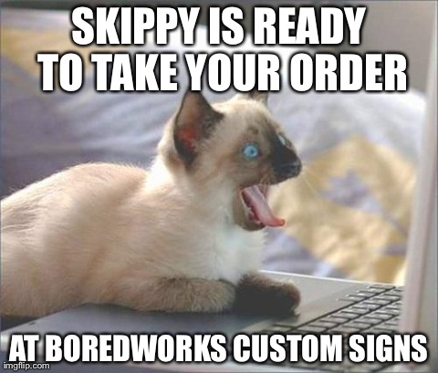 Image tagged in cat programmer - Imgflip