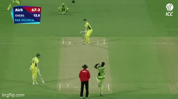 Animated GIF - Imgflip