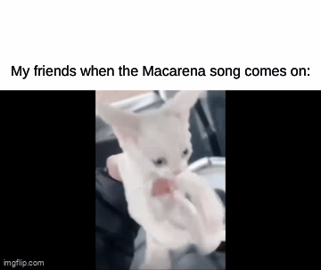 Literally what the Macarena is - Imgflip