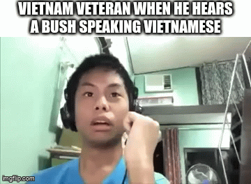 Did that bush just speak Vietnamese? - Imgflip