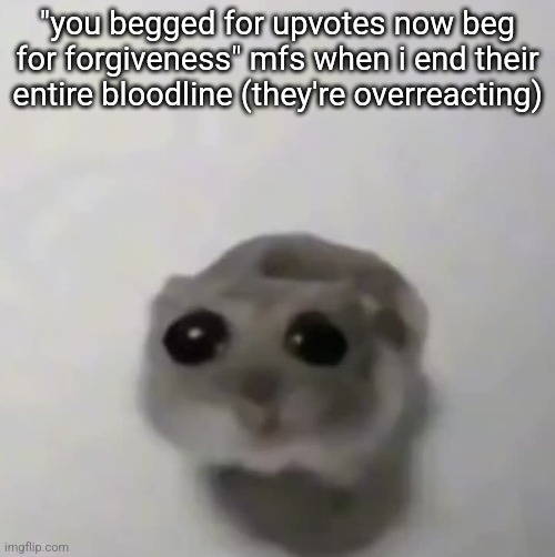 sad hamster - Imgflip