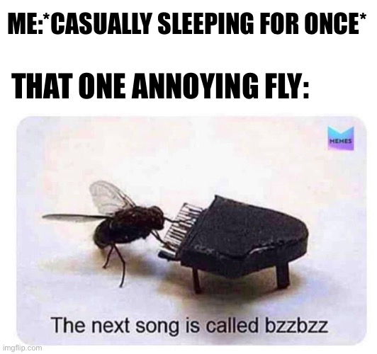 The next song is called bzzbzz - Imgflip