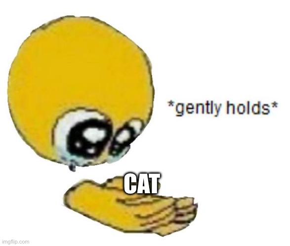 Animated GIF - Imgflip