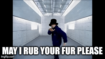 Virtual insanity - Imgflip