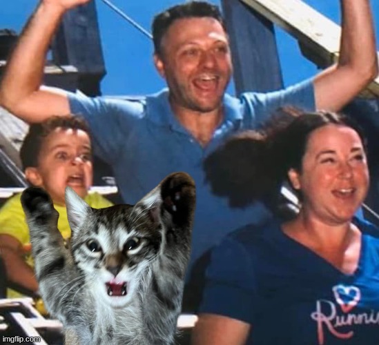 Scared Roller Coaster Kid - Imgflip