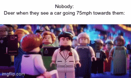 Seriously? - Imgflip