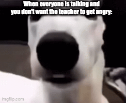 they could really disipline EVERYONE - Imgflip