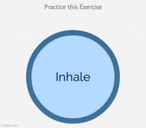 Animated GIF - Imgflip