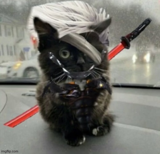 he’s so slay - Imgflip