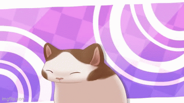 Bop Cat - Imgflip