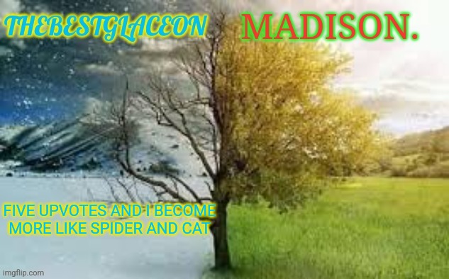 Thebestglaceon, Madison shared announcement template - Imgflip