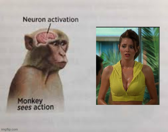 Neuron activation - Imgflip