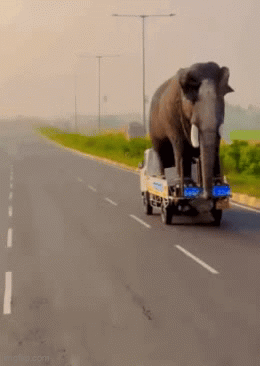 Let's Hope There's Some Hard Braking ! - Imgflip