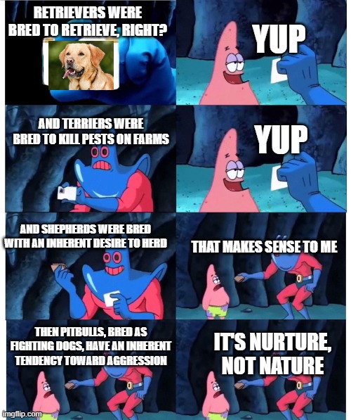 Patrick Not My Wallet (Blank ID) - Imgflip