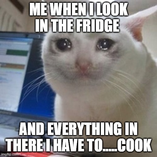 Crying cat - Imgflip